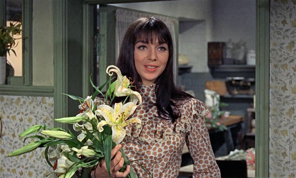 蛇女の脅怖の画像一覧 映画ポップコーン