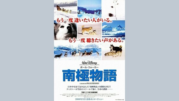 南極物語 - 解説・レビュー・評価 | 映画ポップコーン